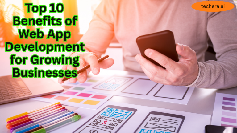 Top 10 Benefits of Web App Development for Growing Businesses - TechEra